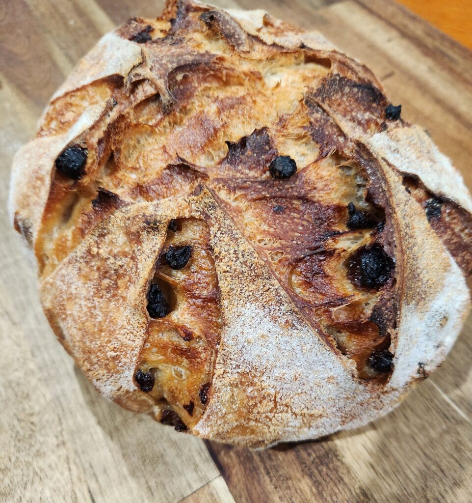 Sourdough Pagnotta (Bread) - Rosa